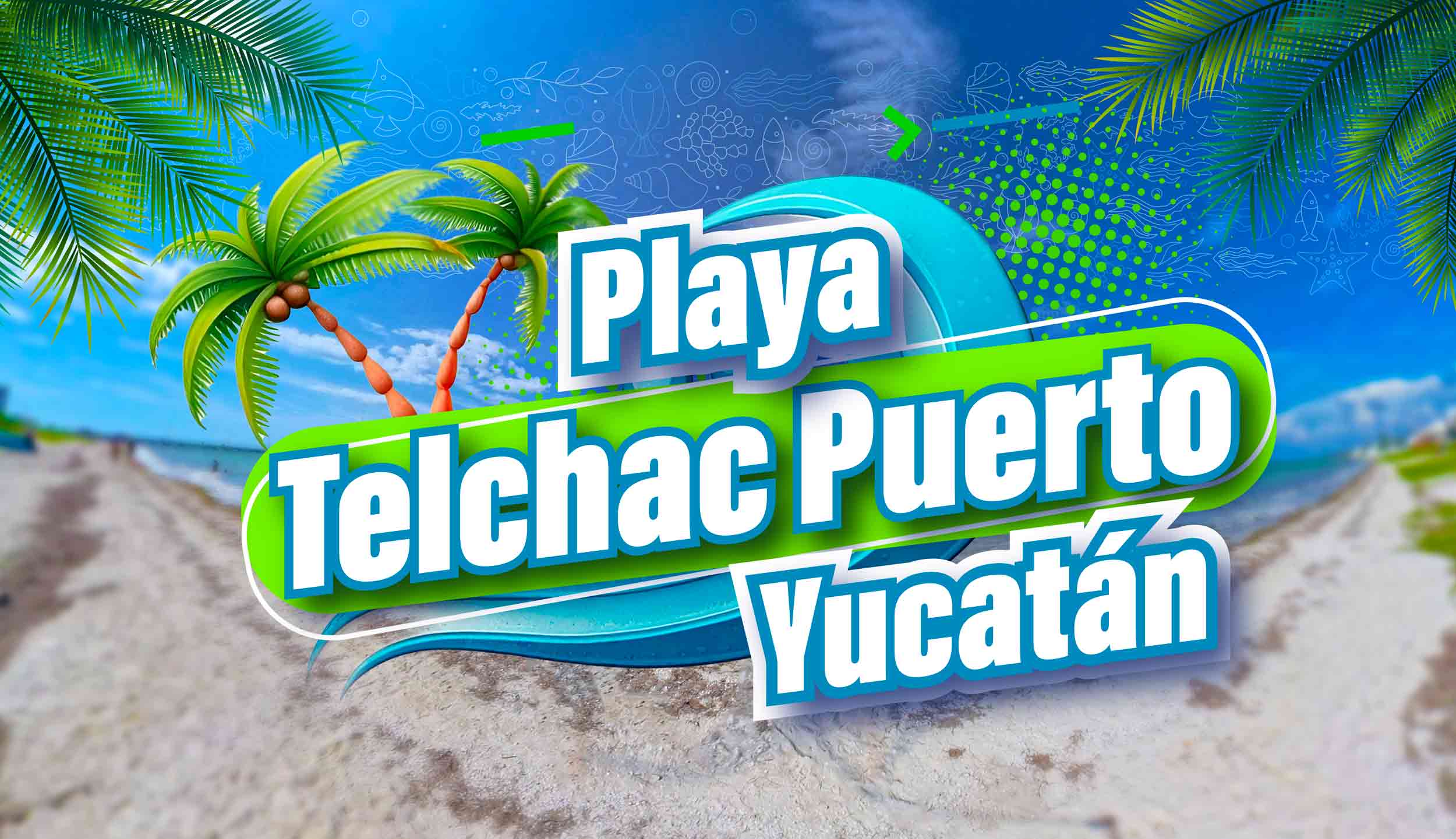 Playa Telchac Puerto (ACTUALIZADO 2025) | ÉCOLE